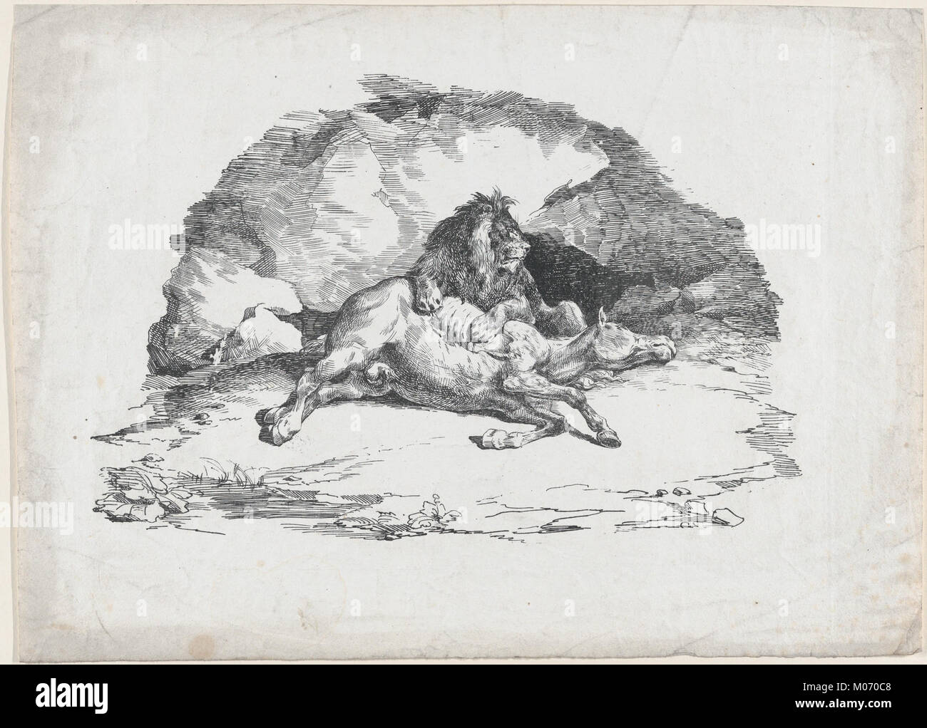 This dramatic artwork depicts a lion attacking and devouring a horse ...