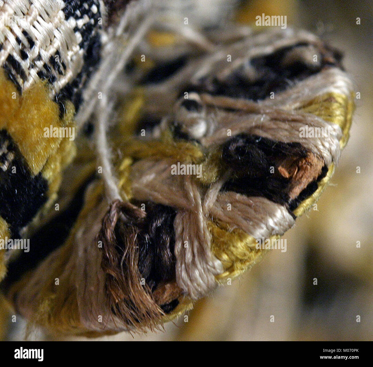 Which is part of the royal ceremonial dress collection hi-res stock ...