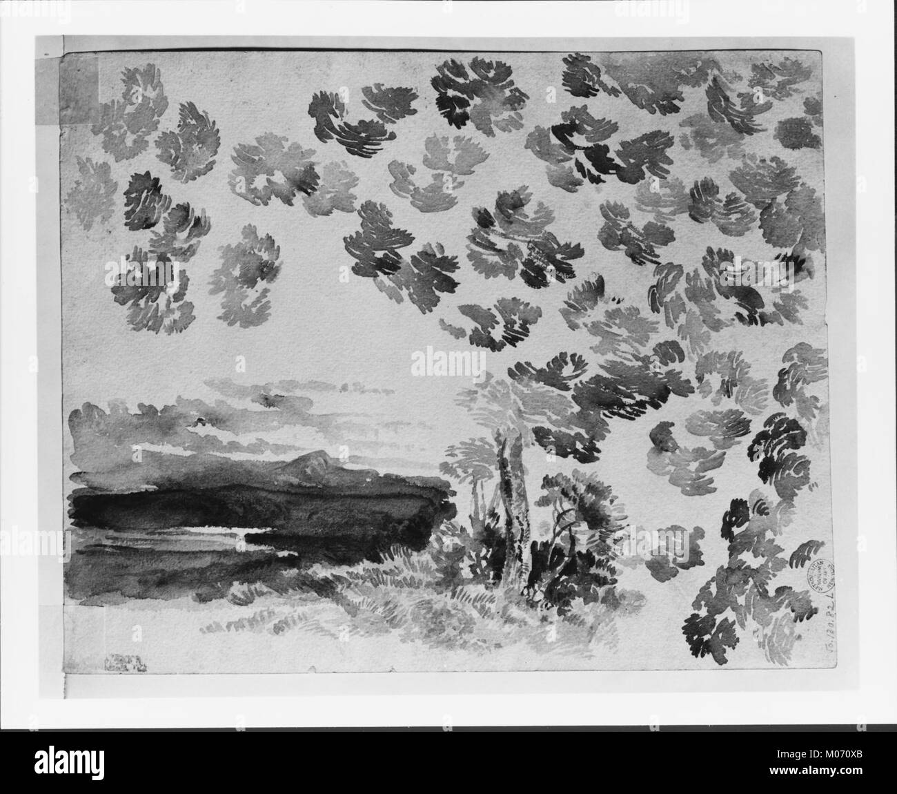 Naturalistic details Black and White Stock Photos & Images - Alamy