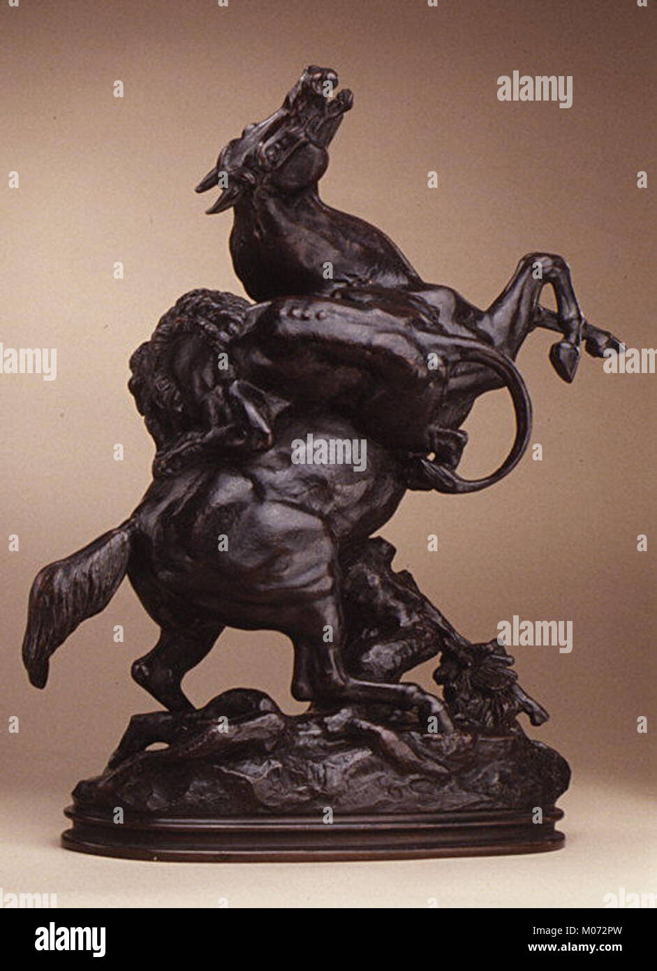 Dramatic animals hi-res stock photography and images - Alamy