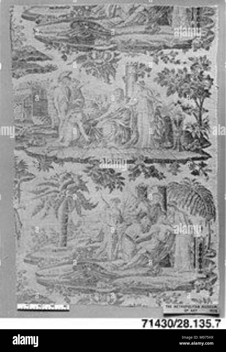 Pompilus hi-res stock photography and images - Alamy