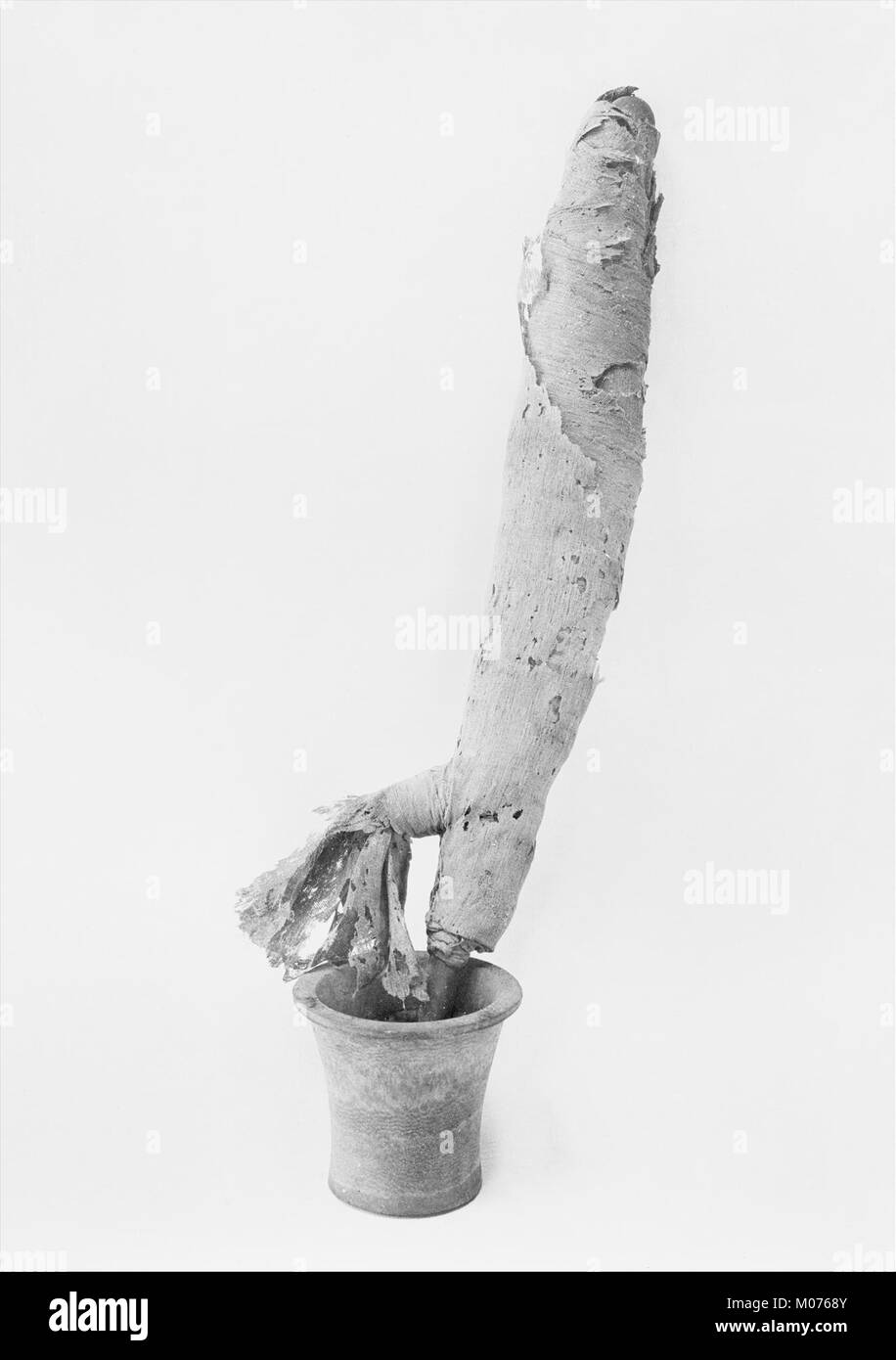 Corpse animal Black and White Stock Photos & Images - Alamy