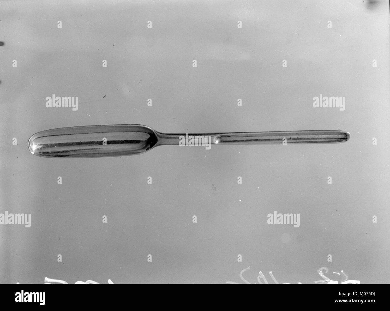 Marrow spoon hi-res stock photography and images - Alamy