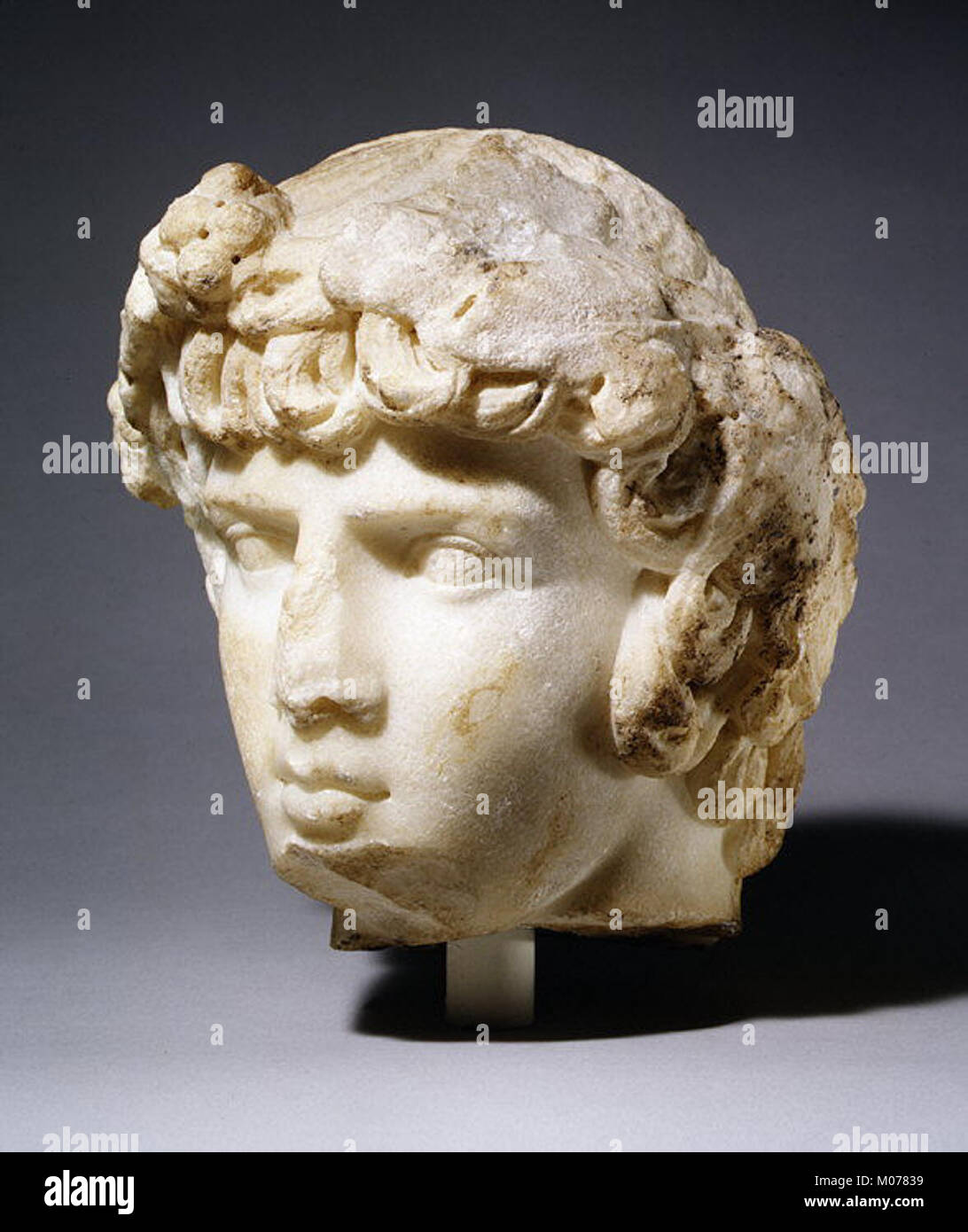 A marble portrait head of Antinoos from ancient Rome, exemplifying high ...