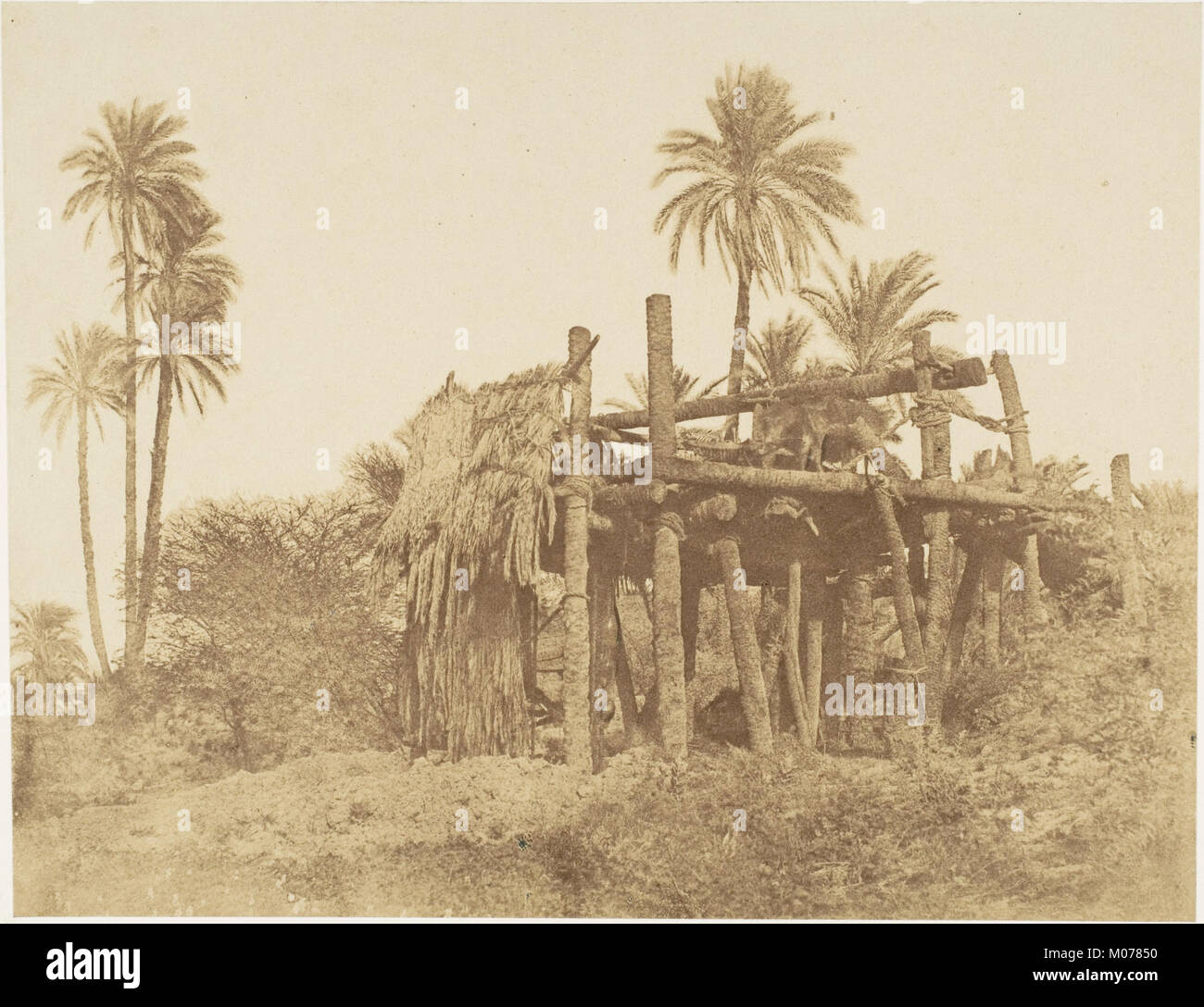 Water wheel in egypt hi-res stock photography and images - Alamy