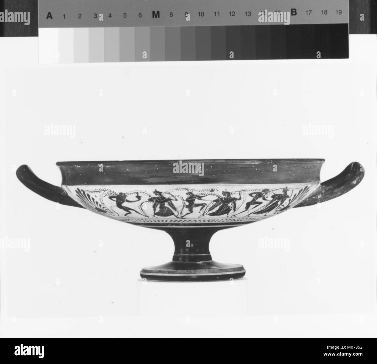 Droop drooping Black and White Stock Photos & Images - Alamy