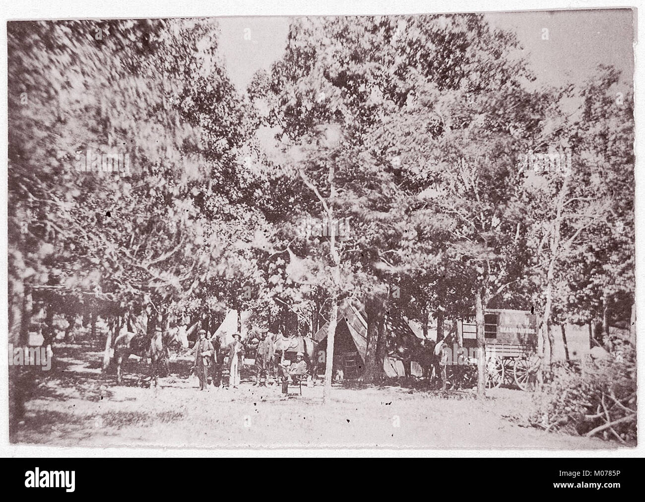 This photograph of the New York Herald Headquarters captures the ...