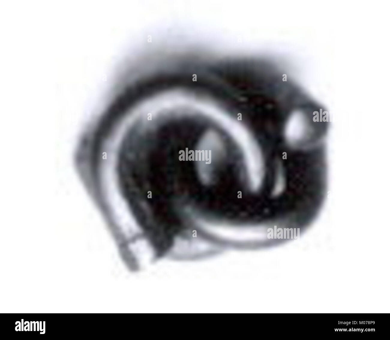 This set of linked rings showcases the interlocking design used in ...