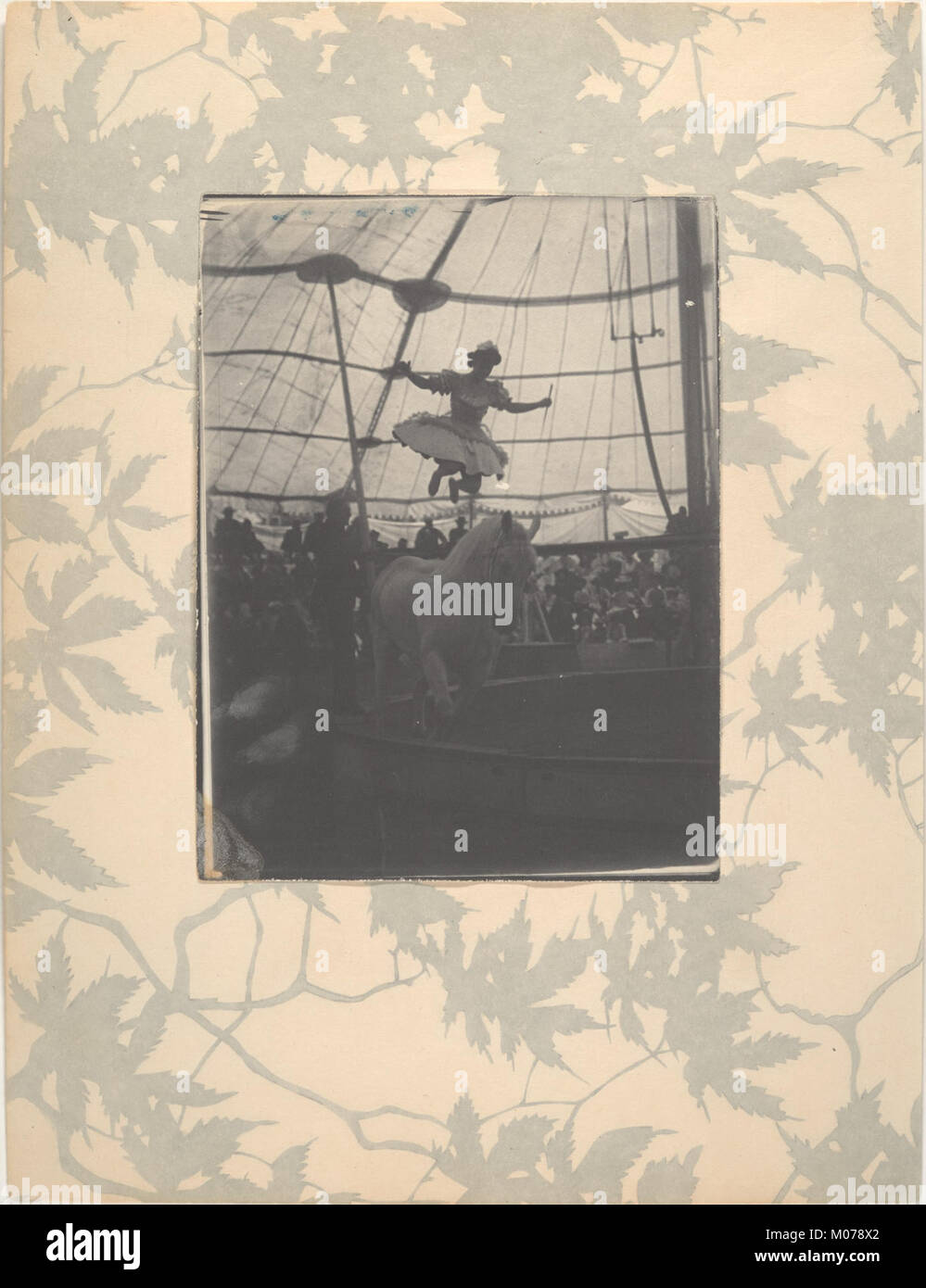 Circus style act hi-res stock photography and images - Alamy