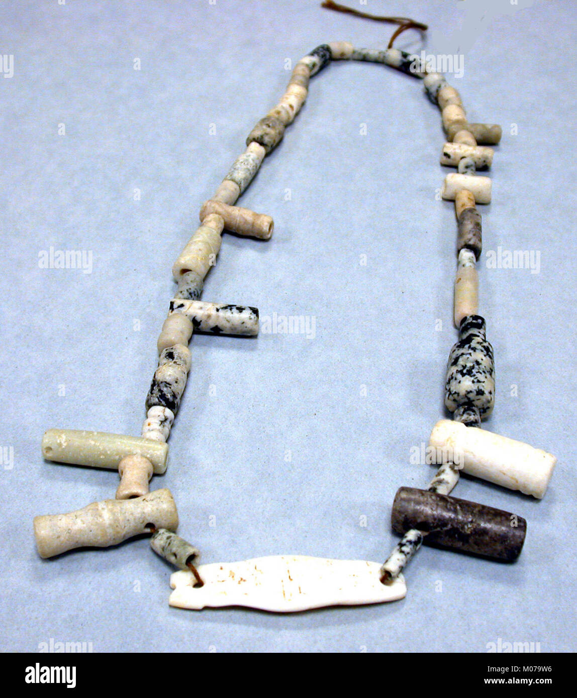 This shell pendant, incised with intricate patterns, was likely used as ...