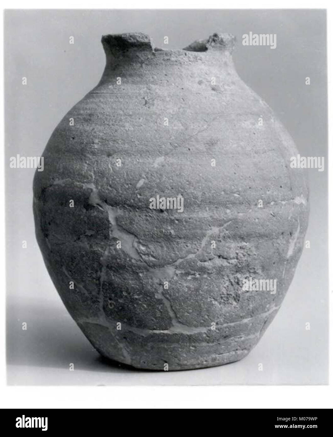 This jar is a representative example of pottery design, reflecting the ...