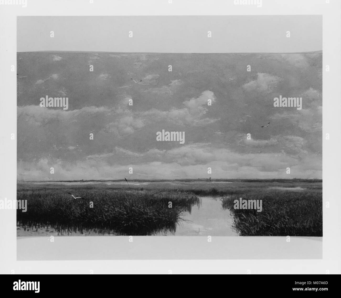 Marsh texture hi-res stock photography and images - Alamy