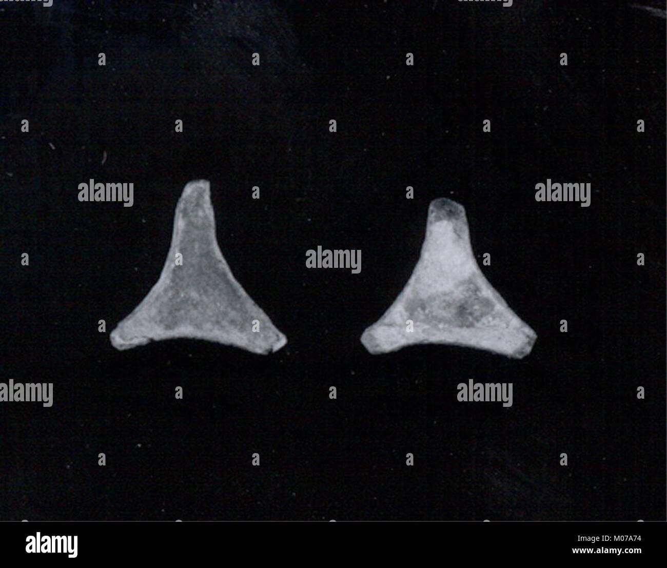 This set of inlays, cataloged as MET ME62 269 167940, showcases ...