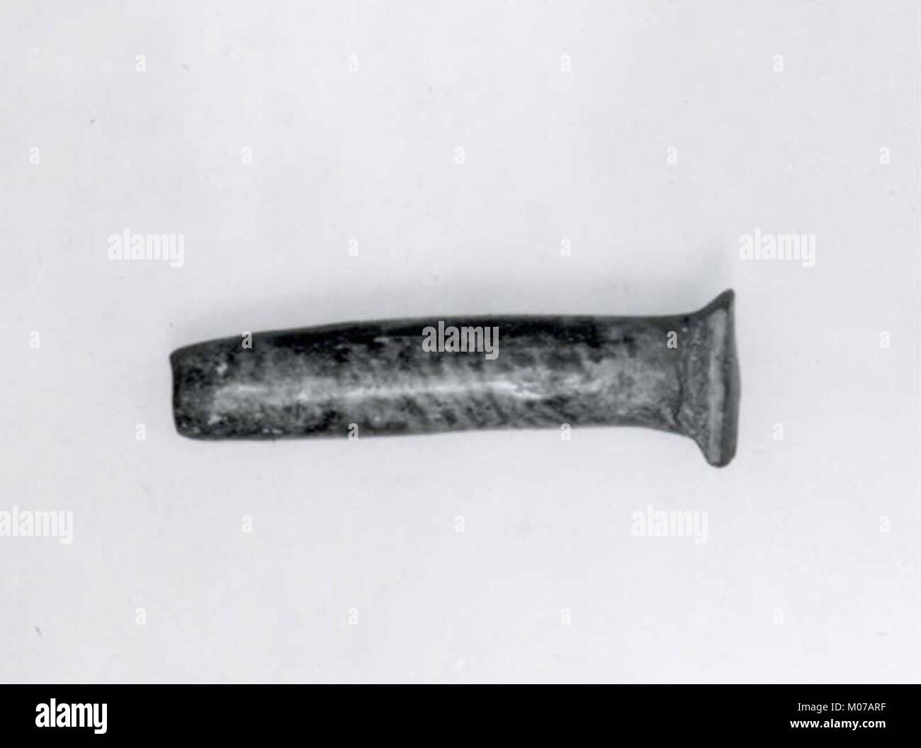 A metal nail or plug, an example of historical fasteners used in ...