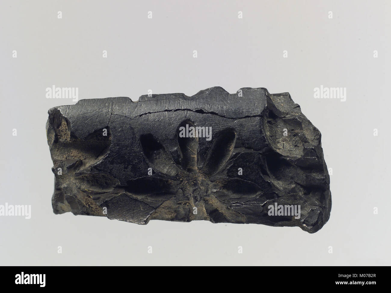 This ivory fragment represents a piece of carved ivory, reflecting ...