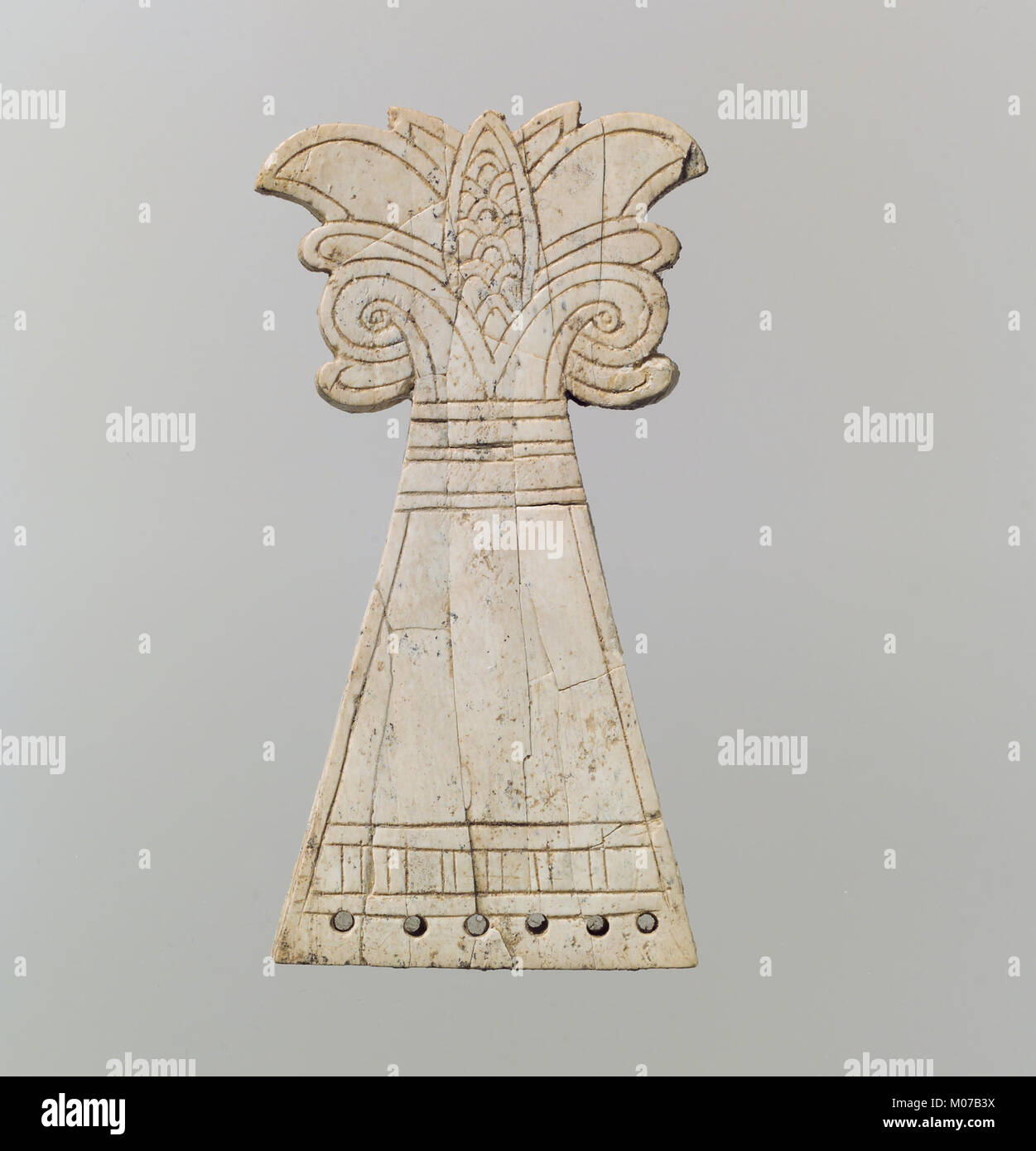 Volute tree hi-res stock photography and images - Alamy