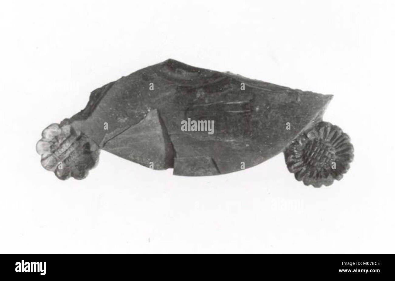 This lid fragment represents a piece of a larger vessel, showcasing the ...