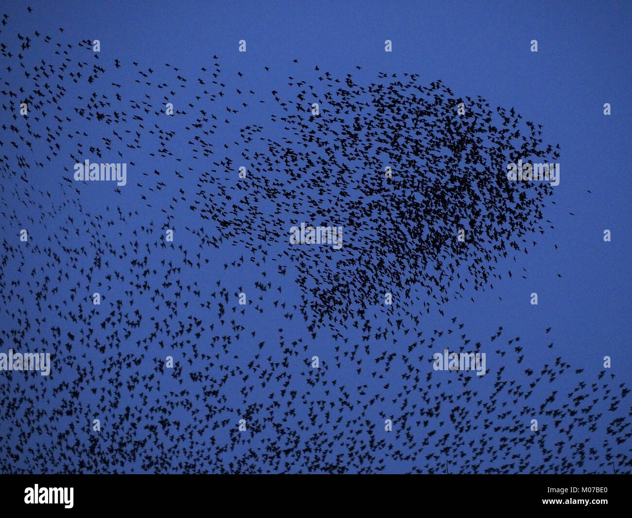 Wonderecology hi-res stock photography and images - Alamy