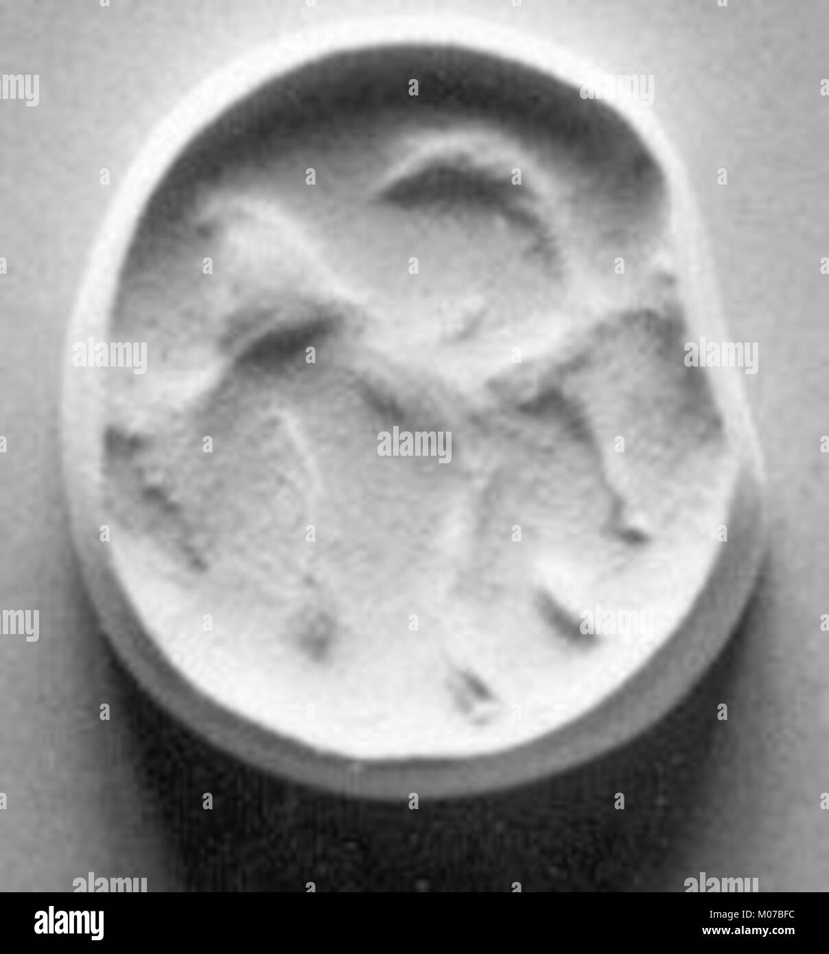 Low hemispheroid seal hi-res stock photography and images - Alamy