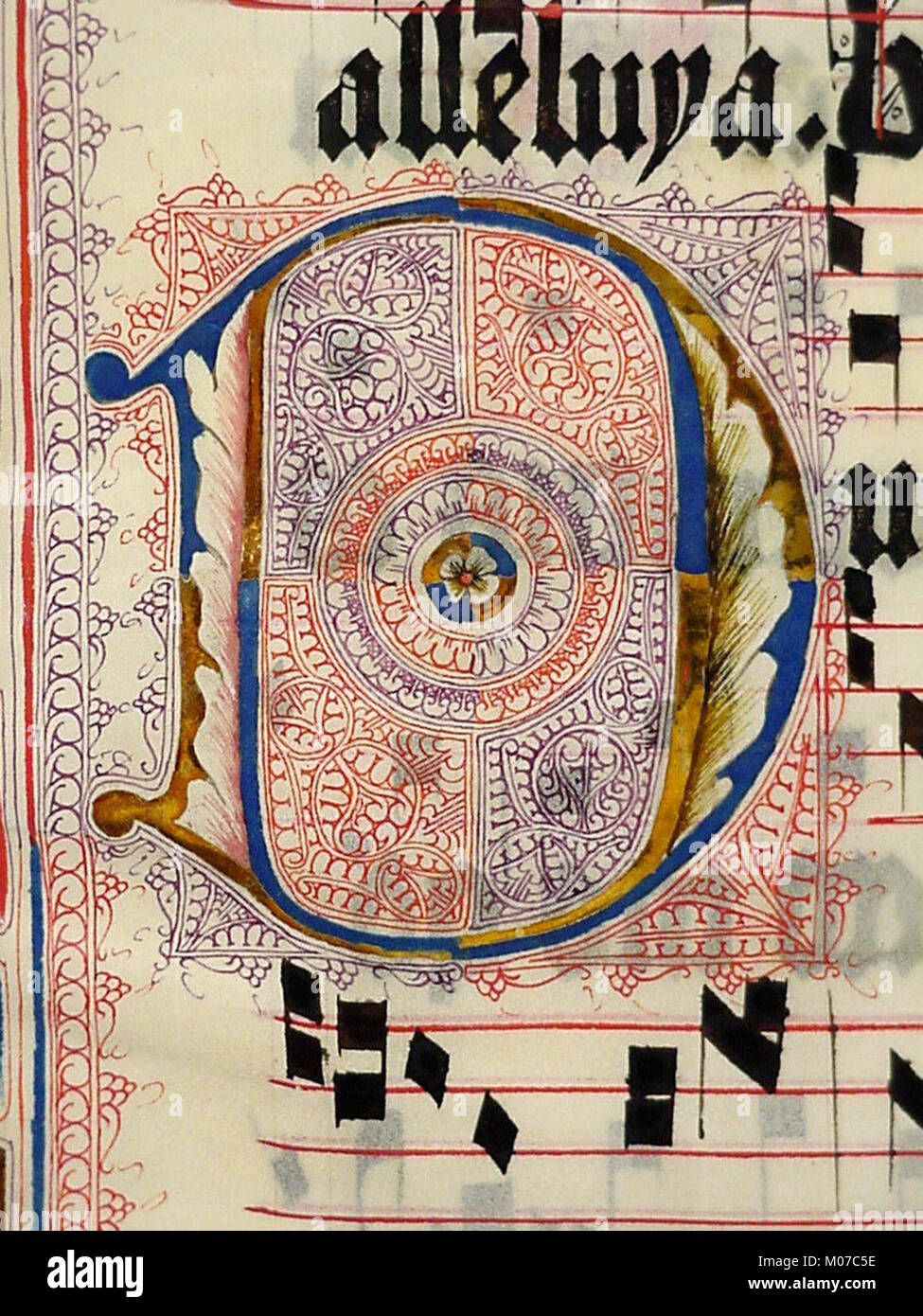 Medieval manuscript letter d hi-res stock photography and images - Alamy