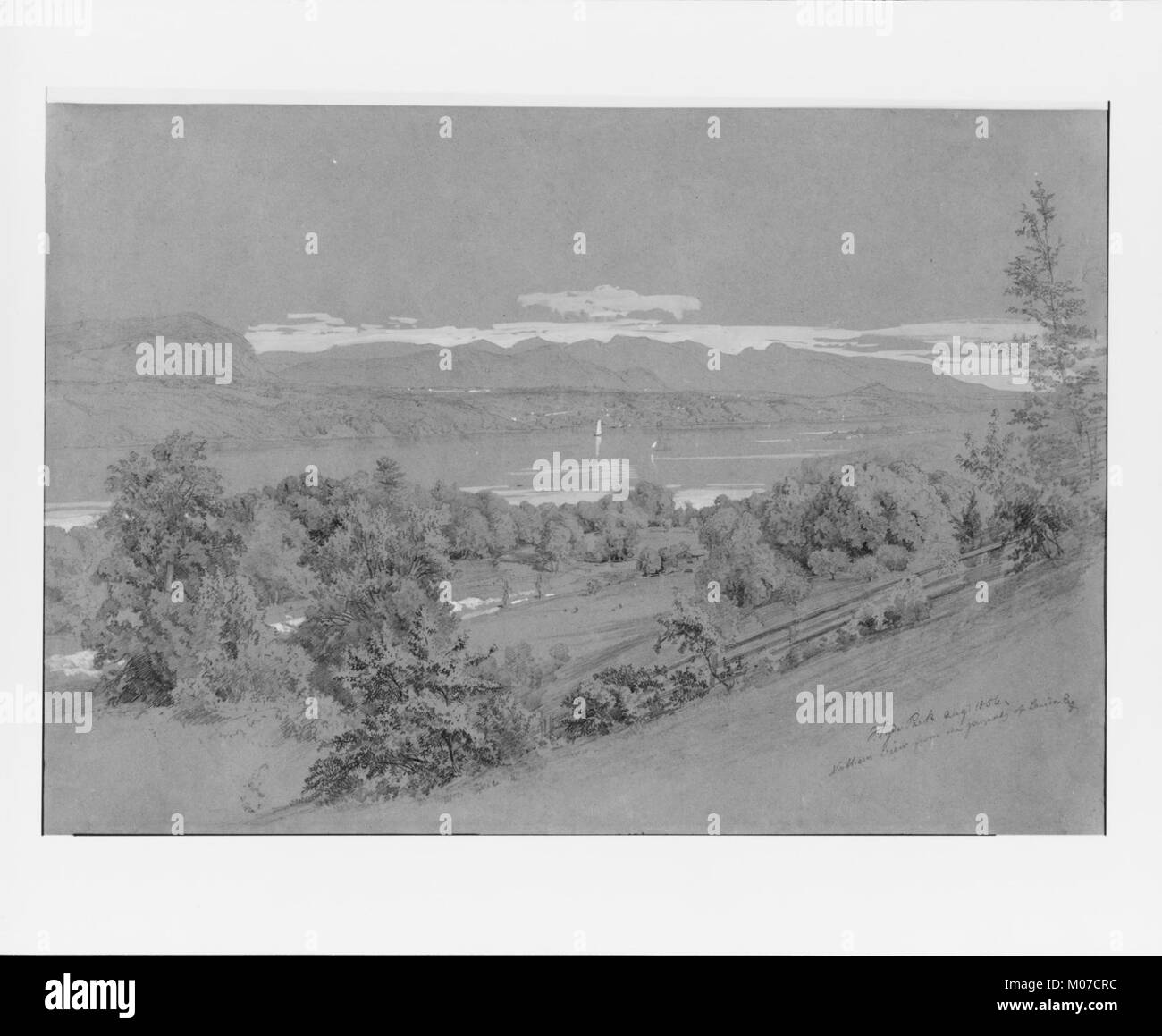 Green lawn trees in Black and White Stock Photos & Images - Alamy