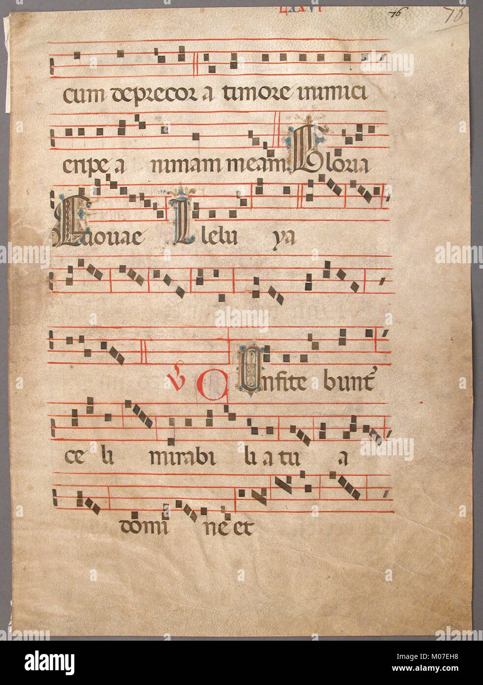 This manuscript leaf is part of a Gradual, a liturgical text. The leaf ...