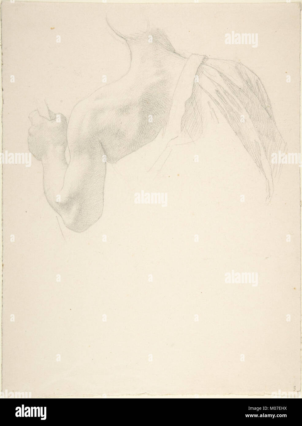This study illustrates the left arm and shoulders of a male figure from ...