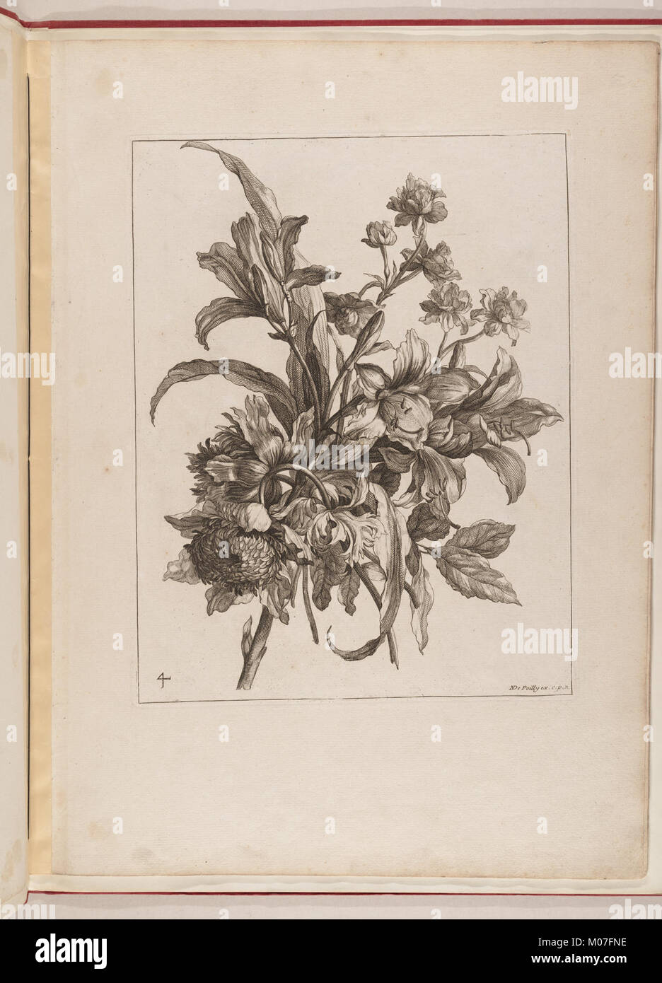 Toutes sortes de fleurs hi-res stock photography and images - Alamy