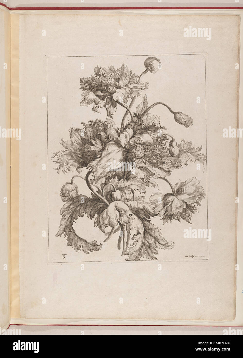 'Livre de Toutes Sortes De Fleurs D'aprÃ¨s Nature' is a botanical book ...