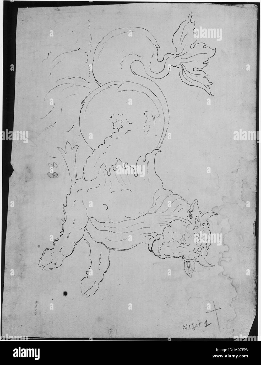 The artwork shows a marine bull, with recto detail and verso blank ...