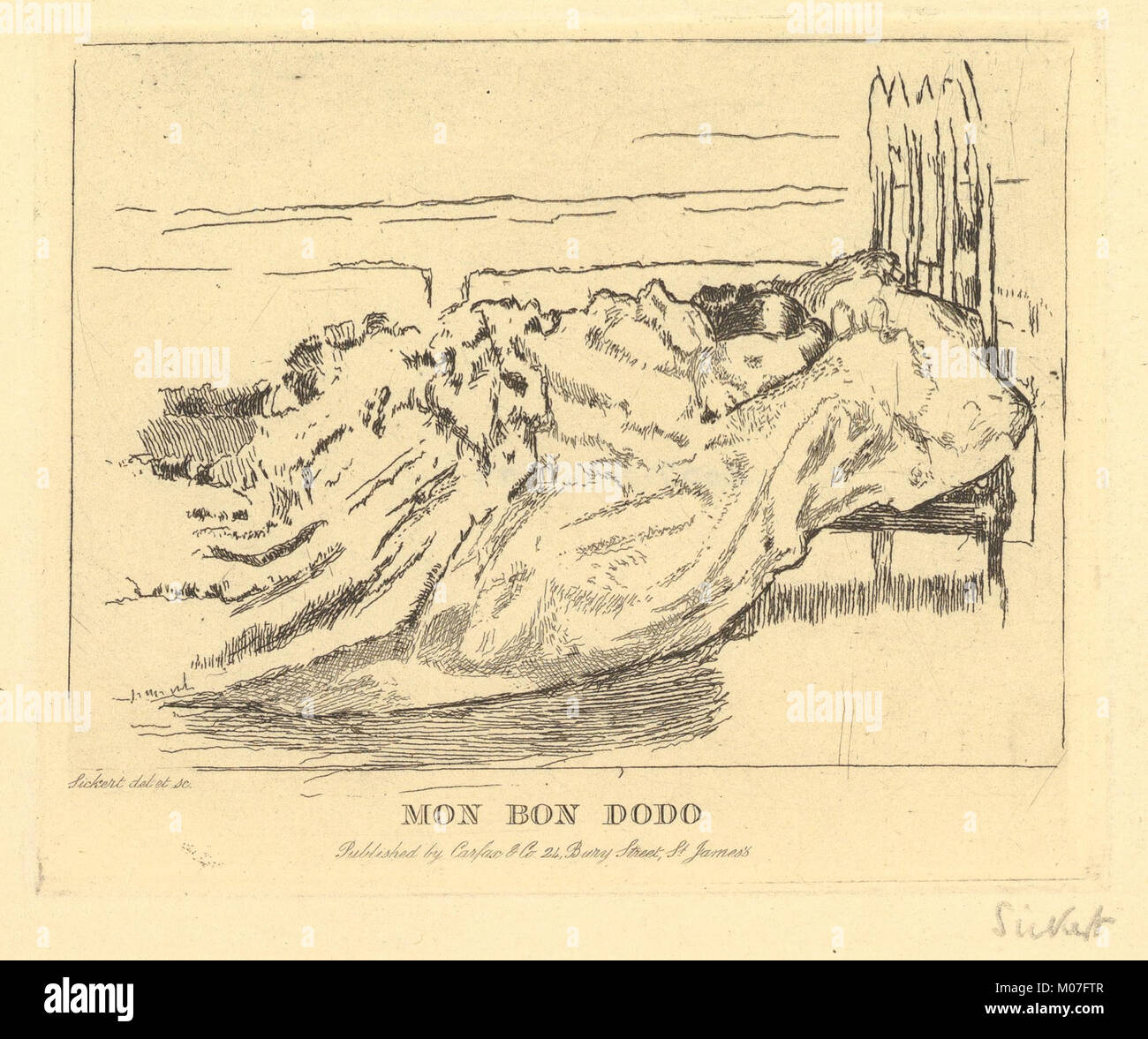 Dodo textbook hi-res stock photography and images - Alamy