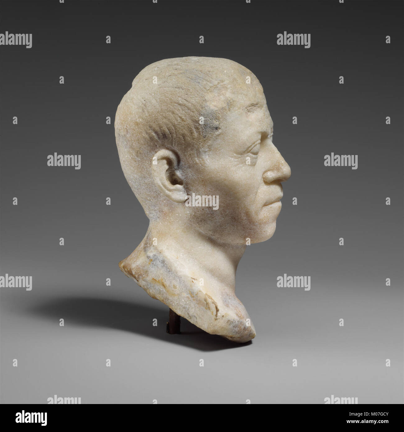 Showcasing classical facial features hi-res stock photography and ...