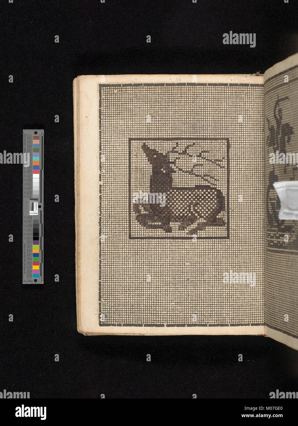 Manuscript album showing detailed lace and embroidery designs ...