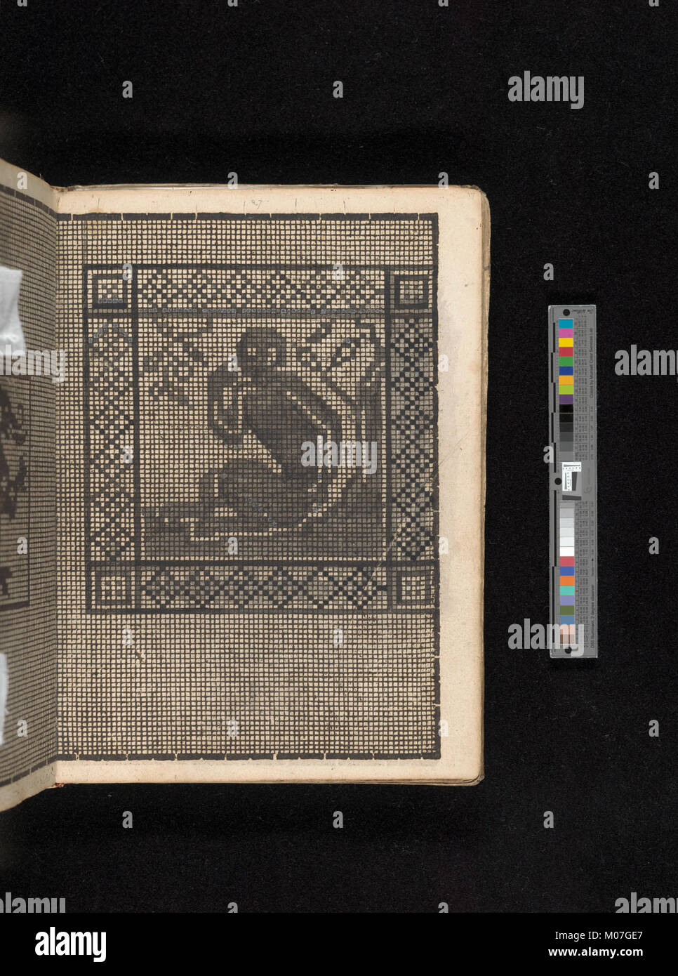 Manuscript album High Resolution Stock Photography and Images - Alamy