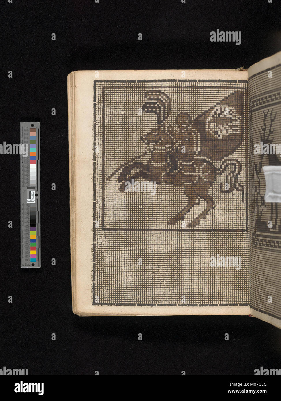 This manuscript album contains detailed designs for lace and embroidery ...