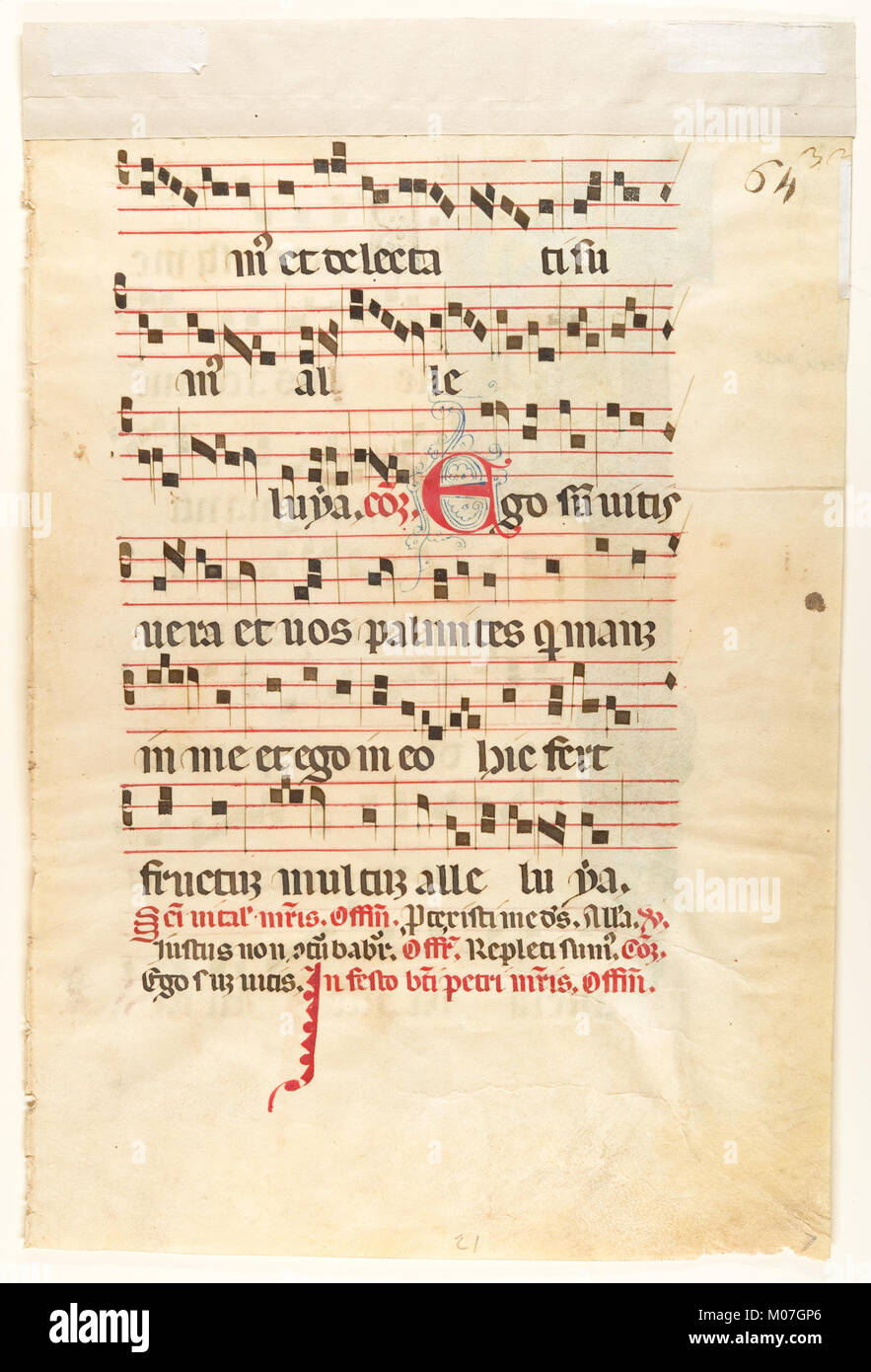 A manuscript leaf depicting the martyrdom of Saint Peter Martyr ...