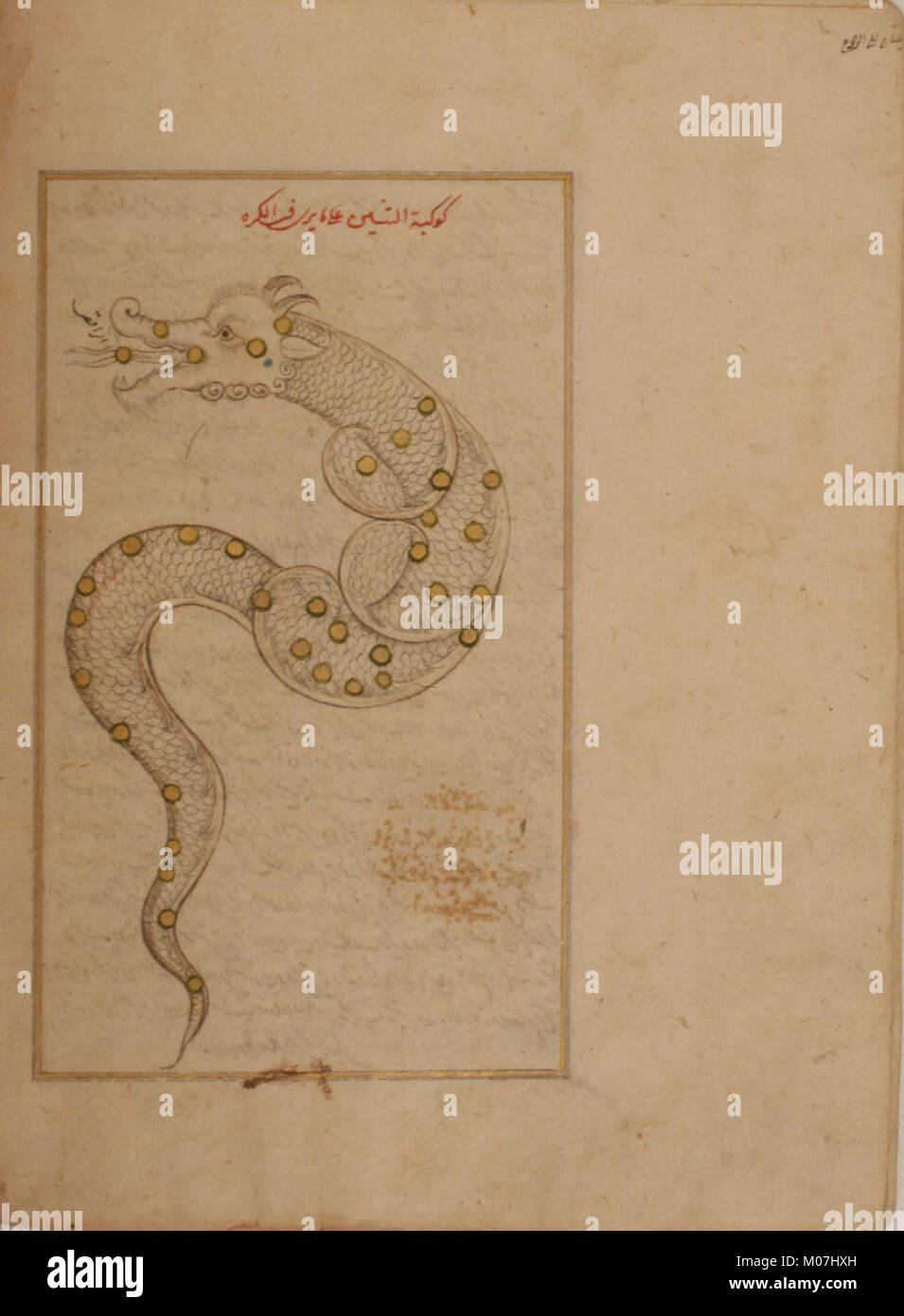 A 10th-century manuscript by al-Sufi illustrating fixed stars and ...