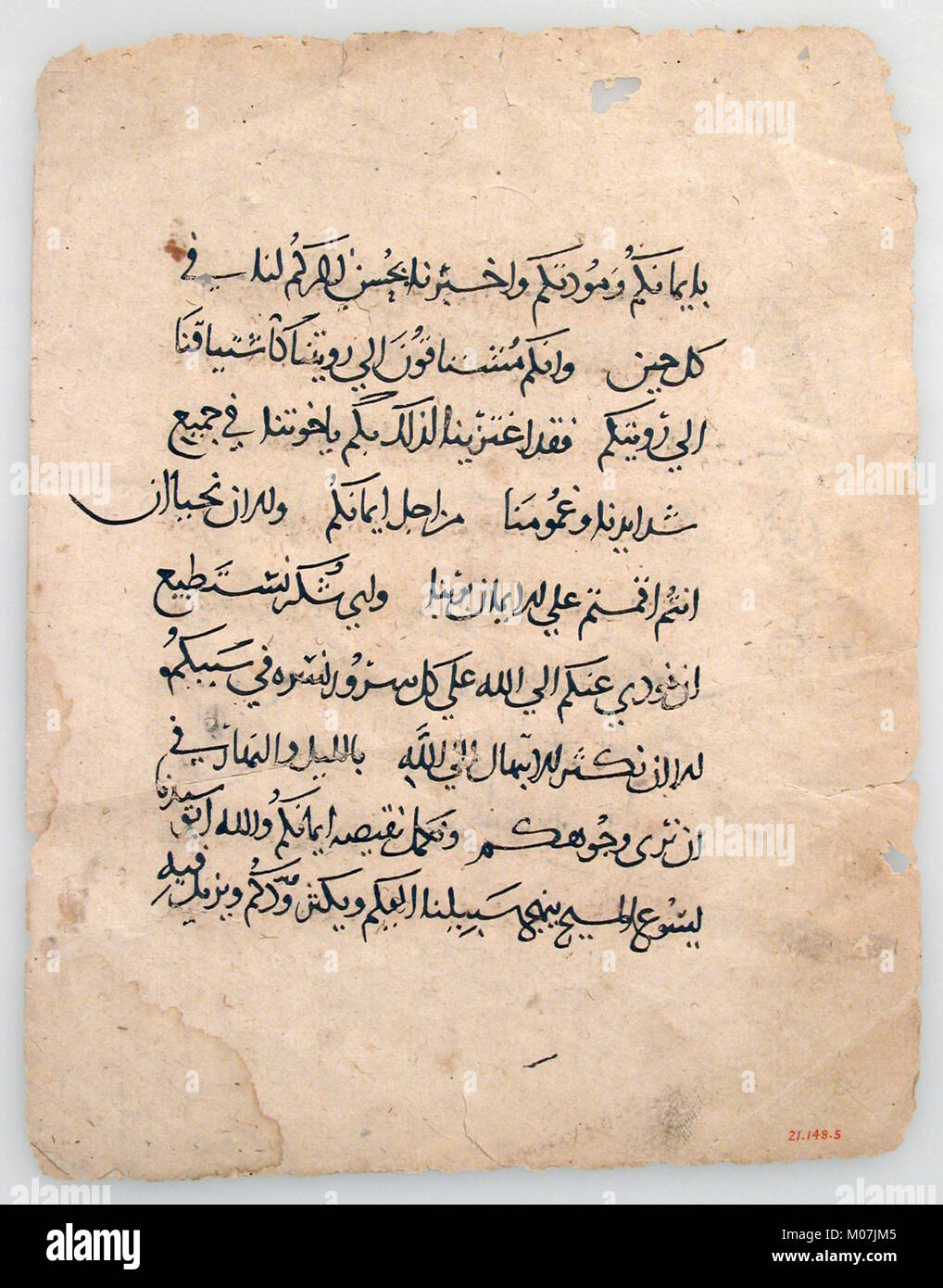 These manuscript leaves are preserved remnants of an Arabic manuscript ...