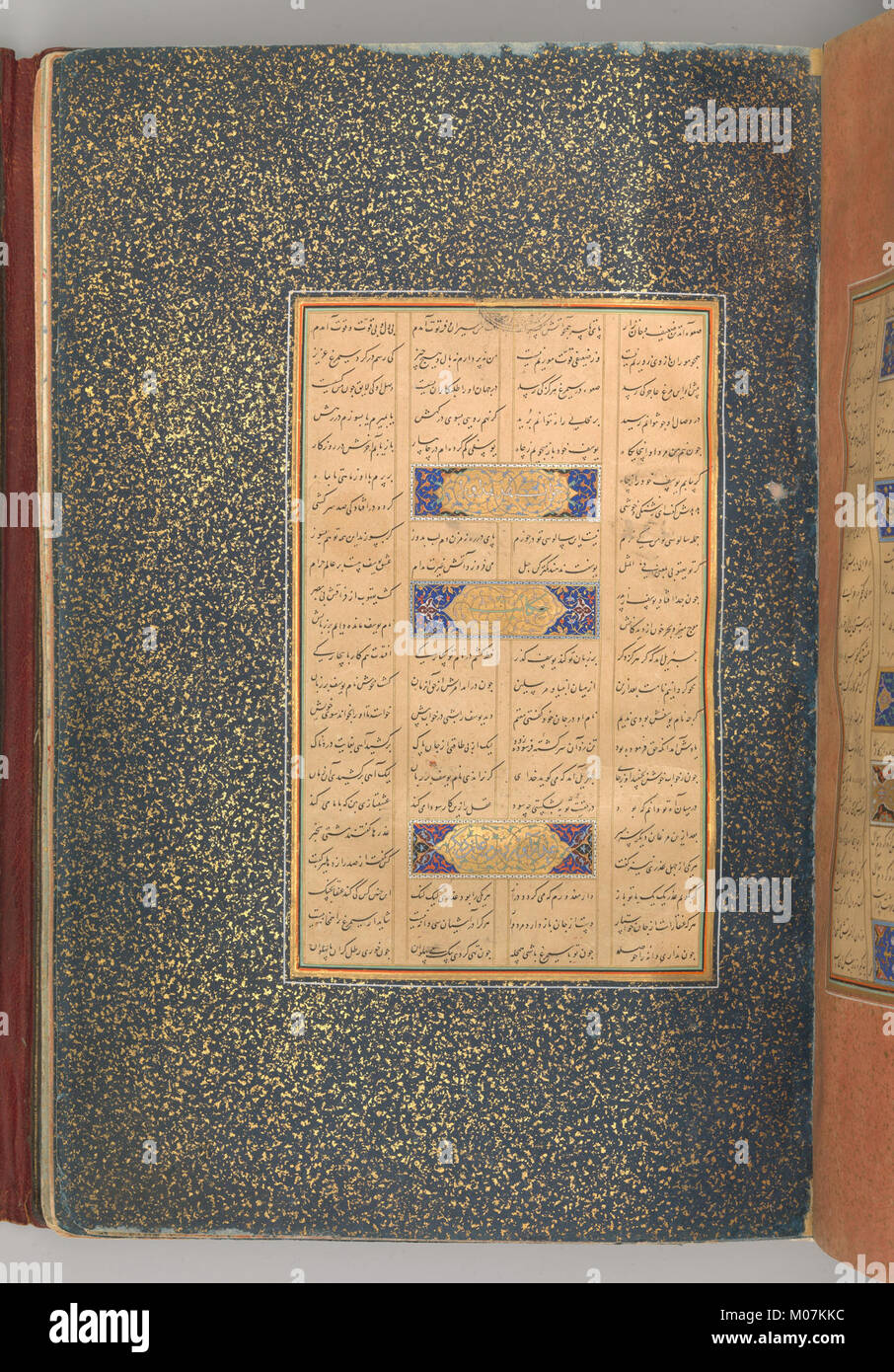 Philosophical bird hi-res stock photography and images - Alamy