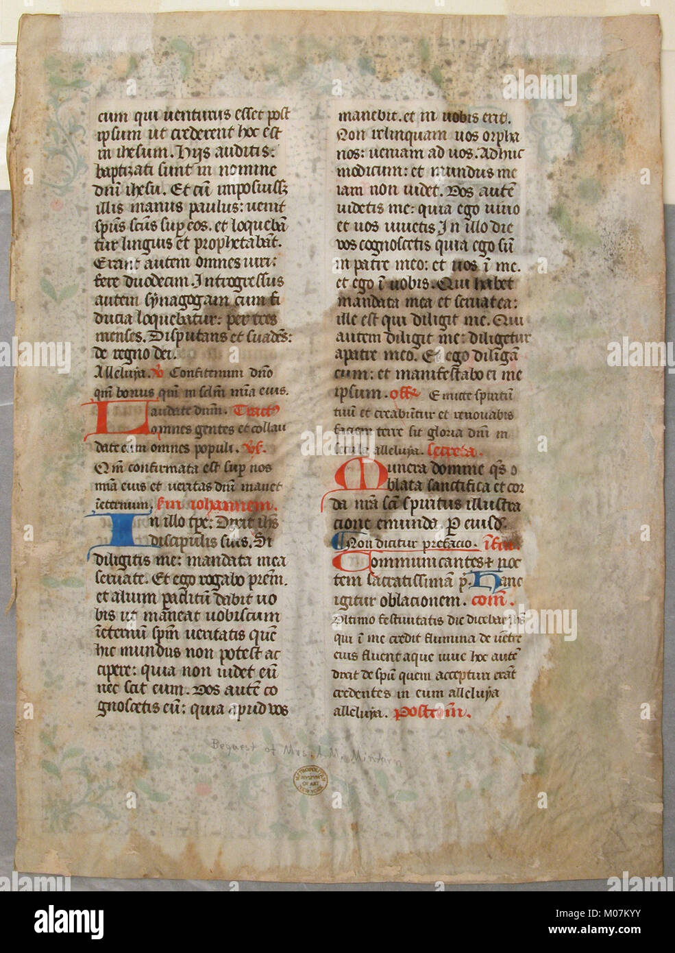 This manuscript leaf is part of a missal, a liturgical text used in ...