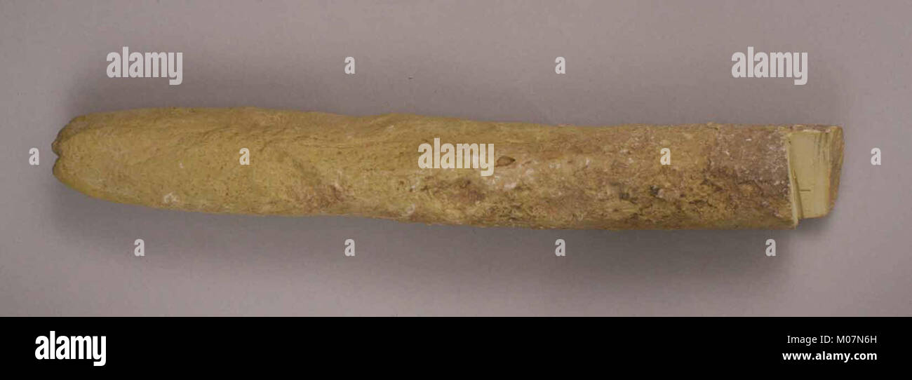 Kiln Rod MET sf52-130-27a Stock Photo - Alamy