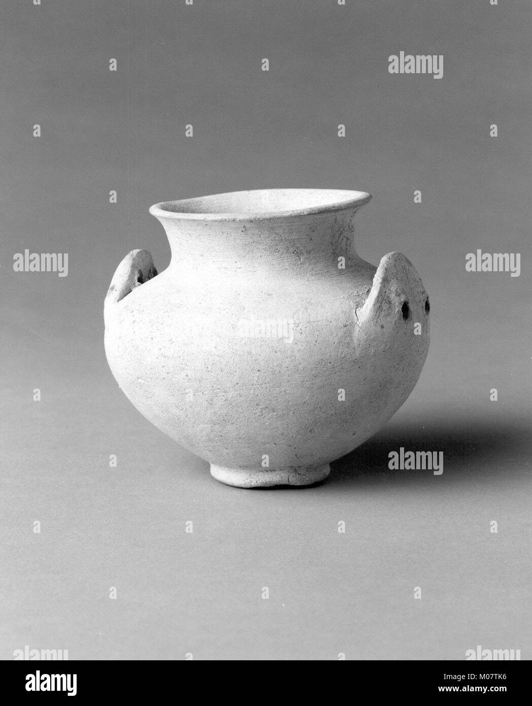 This jar, featuring pierced handles for suspension, reflects functional ...