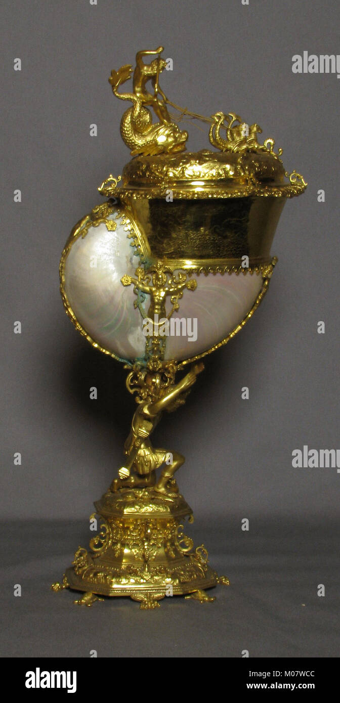 Nautilus shell cup hi-res stock photography and images - Alamy