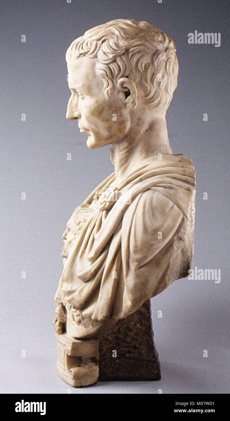 This portrait of Julius Caesar captures the likeness of the Roman ...