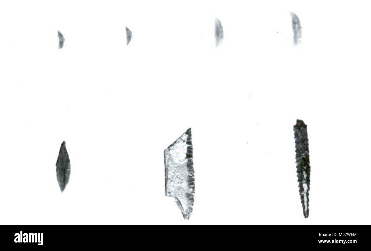 Microlith hi-res stock photography and images - Alamy