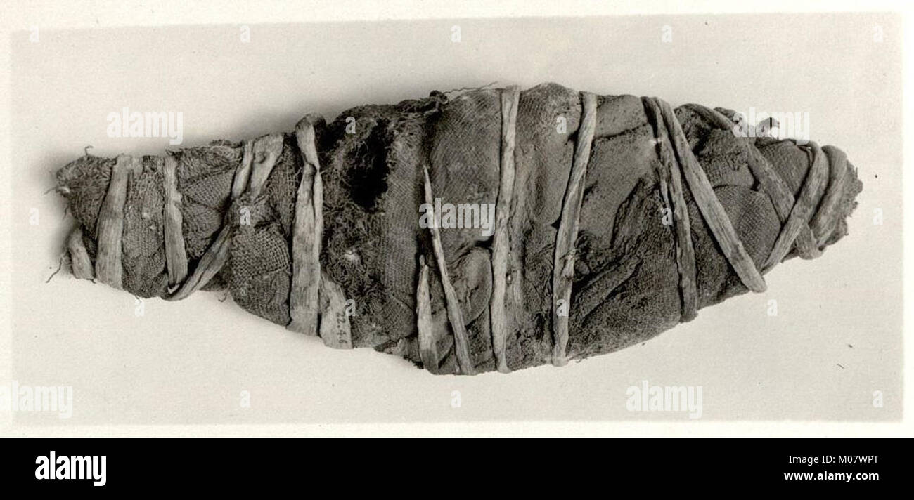 This mummified fish represents an ancient method of preservation ...