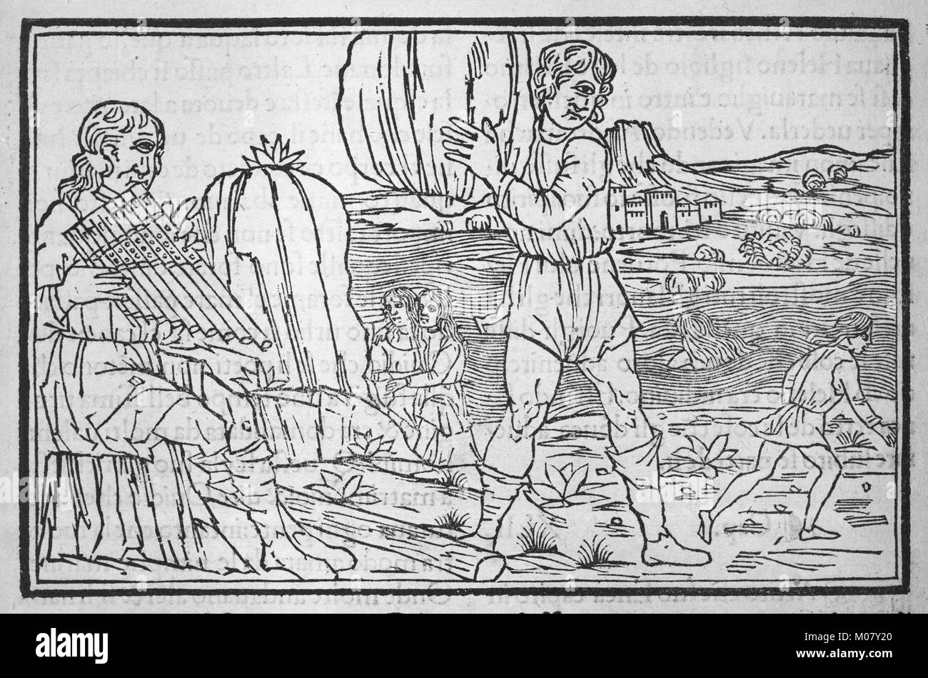 A scientific illustration of Methamorphoseos vulgare, representing the ...