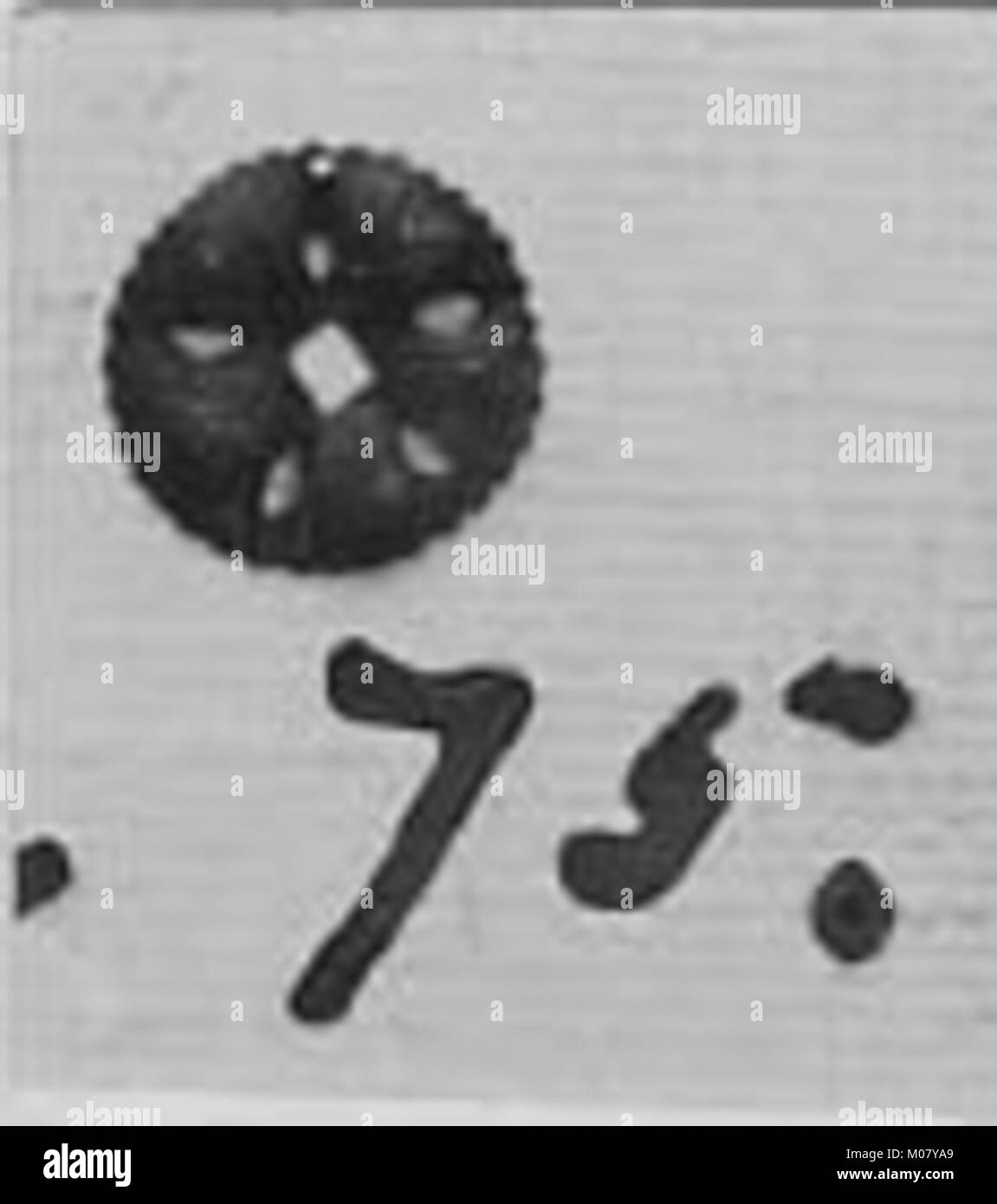 Nail plate hi-res stock photography and images - Alamy