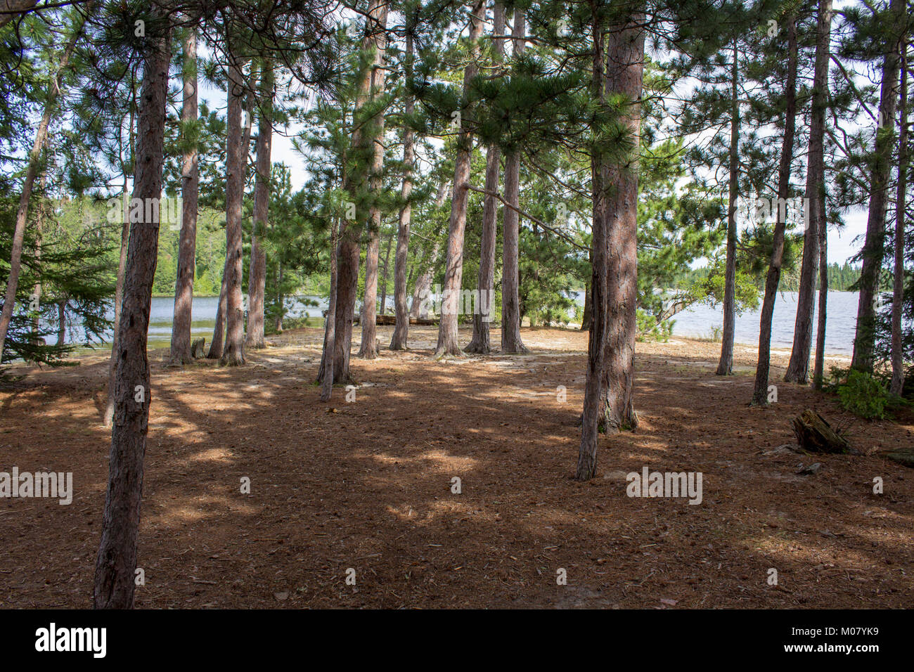 Quetico trip 2016 Stock Photo - Alamy