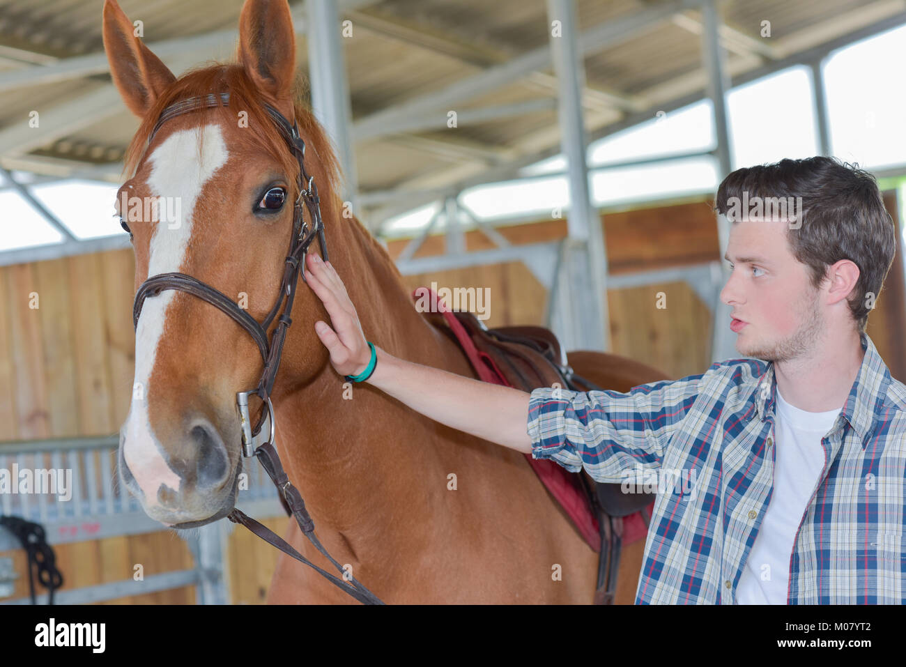 Man calming horse with a stroke Stock Photo - Alamy